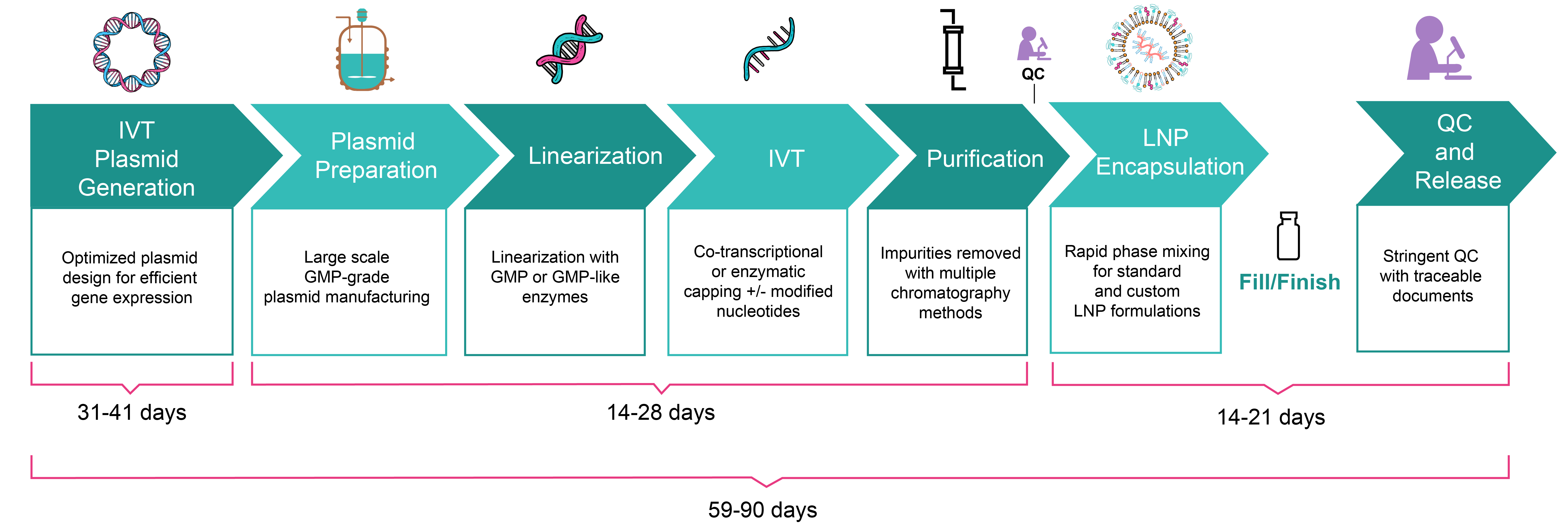 IVT RNA and LNP Manufacturing | VectorBuilder